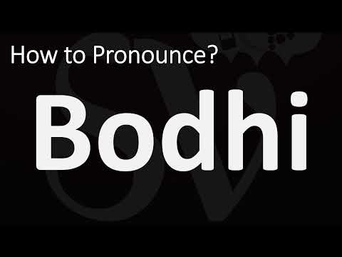 How to Pronounce Bodhi? (CORRECTLY)