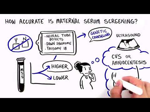 Prenatal Screening Options: Maternal Serum Screening