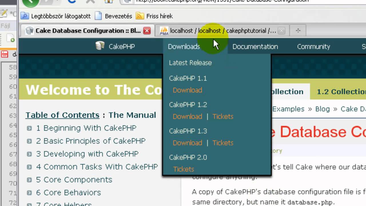 Cakephp Tutorial 03 - Blog tutorial part 3 HU