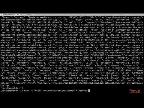Learn Puppet Techniq for Enterprise Deployment Creat Display Puppet Report from PuppetDB ...