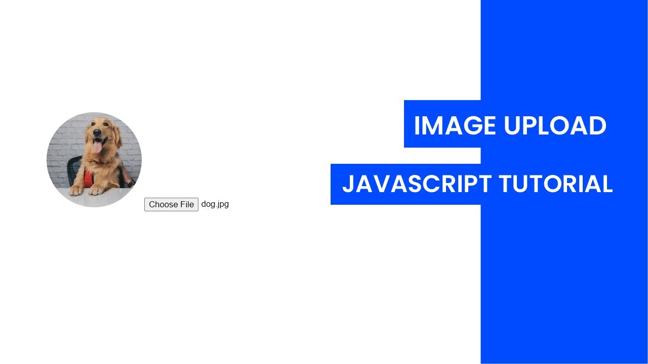 Image Upload | HTML, CSS & Javascript