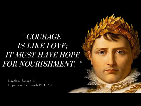 Napoleon Bonaparte emperor French. In politics, stupidity is not a handicap.