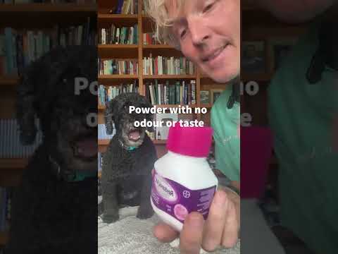 Great OTC Remedy for Cat and Dog Constipation