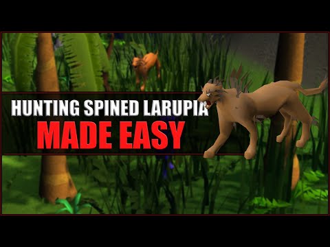 Quick Guide to Hunting Spined Larupia in OSRS | Hunter Guide | Hunters Rumours