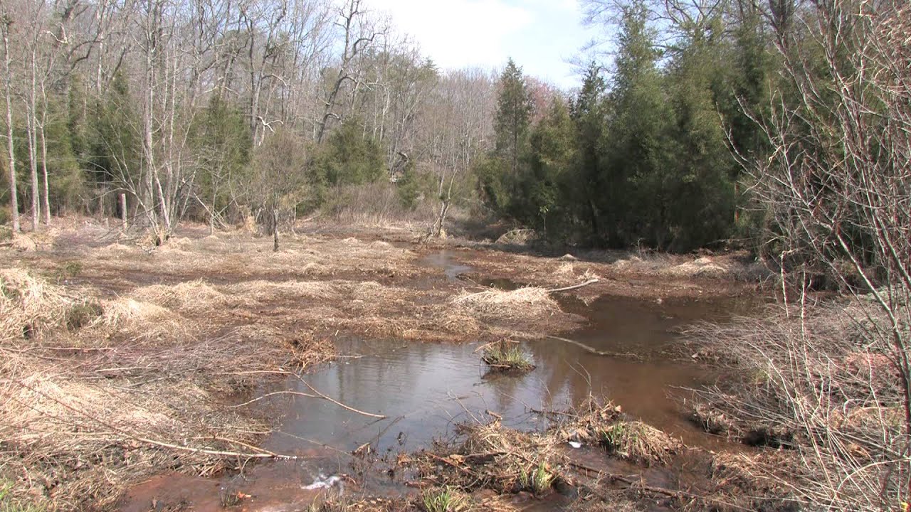 Recreating baseflow channels, Howards Branch, Baltimore, Maryland