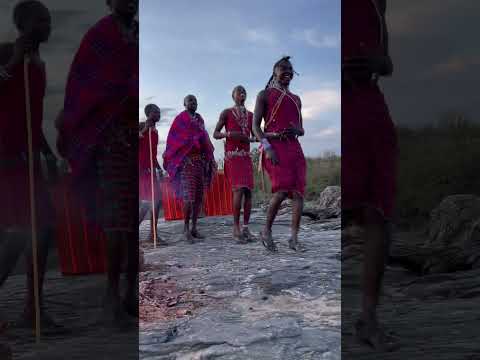 🇰🇪 Kenyan Maasai Tribal Dancing in Masai Mara Kenya #shorts