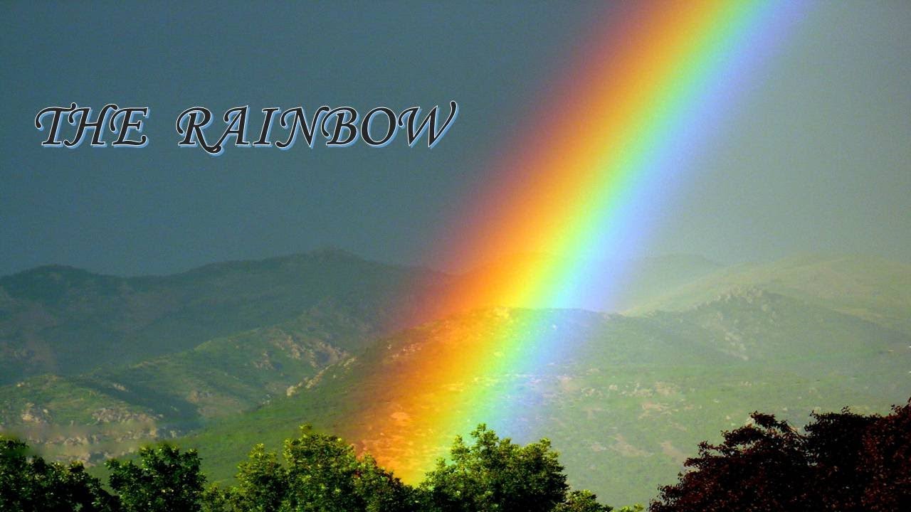 The Rainbow!  What's It All Mean?