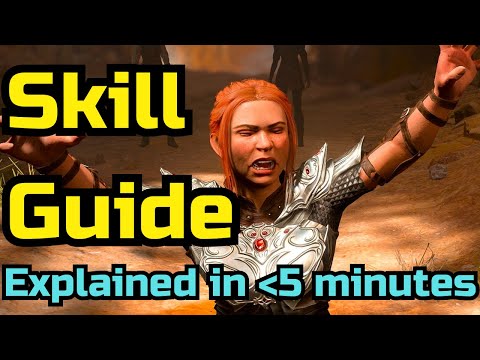 Baldur's Gate 3 Skill Checks Explained