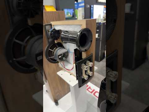 The guts of Dali’s Rubikore 2 bookshelf speaker!