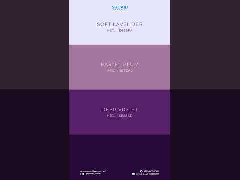 Luxury Color Palette | Elegant & Timeless Color Combinations for Design