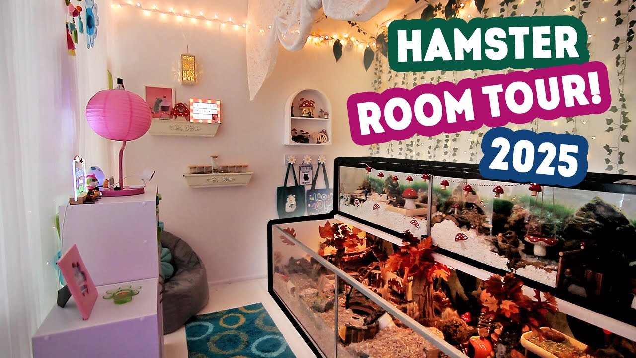 HAMSTER ROOM TOUR! 2025
