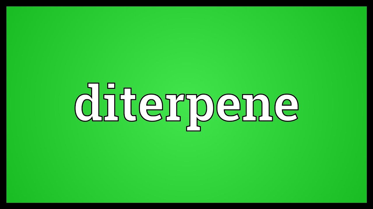 Diterpene Meaning