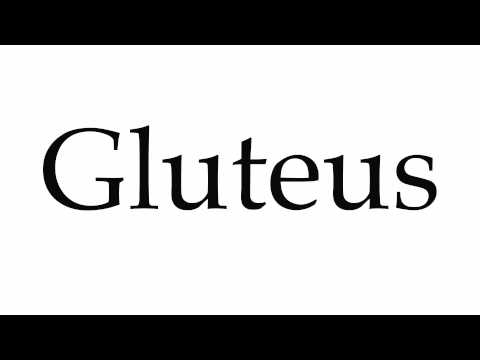 How to Pronounce Gluteus