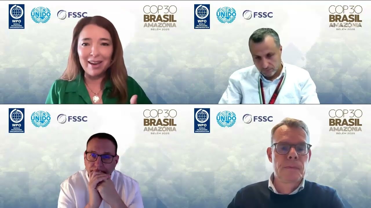 Post COP30 webinar