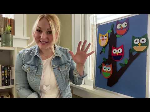 Five Little Owls | Storytime Online | Waukee public Library