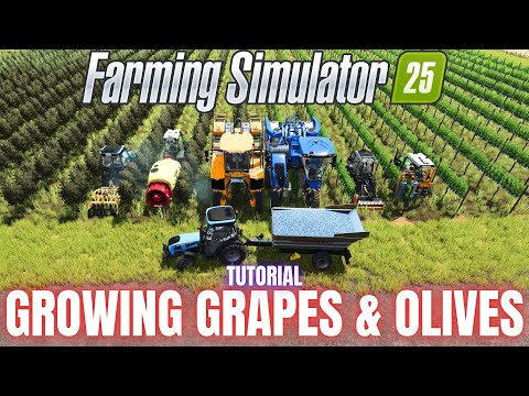 GROWING GRAPES & OLIVES - TUTORIAL - Farming Simulator 25