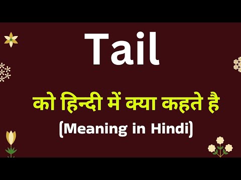 Tail meaning in hindi || tail ka matlab kya hota hai || word meaning english to hindi