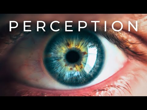 Why Perception is Everything – Hannes van Eeden