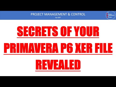 Understand your XER File in Primavera P6