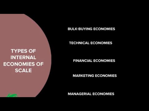 Economics A'Level(Economies of Scale: Internal Economies of Scale and its Sources)