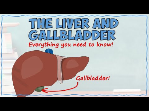 The Liver and Gallbladder