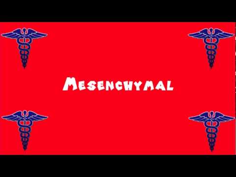 Pronounce Medical Words ― Mesenchymal