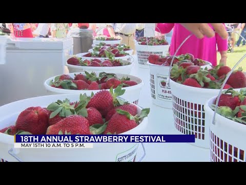 Town of Unicoi to hold 18th annual strawberry festival