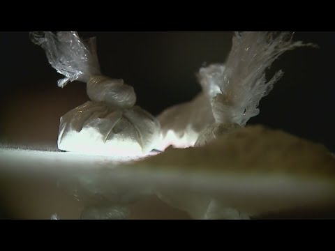 Harm Reduction Specialists help users test street drugs for deadly fillers
