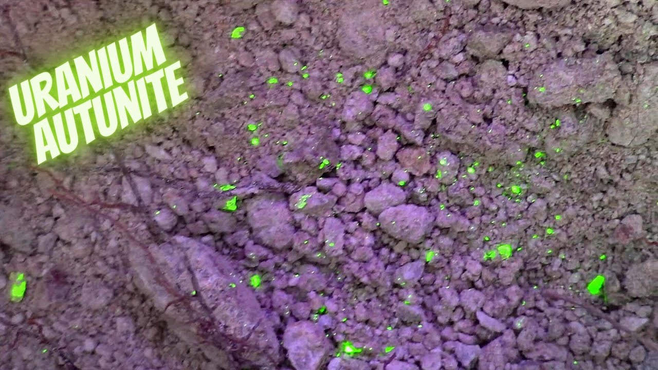 Autunite Uranium Mineral Dig - Uranium Mine