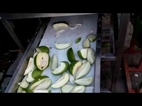 Raw Mango Cutting Machine - Green Mango Cutting Machine Latest Price ...