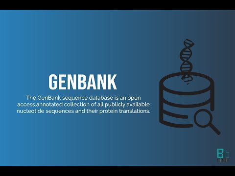 Bioinformatics: GenBank | Introduction to the GenBank database | BioCode Ltd