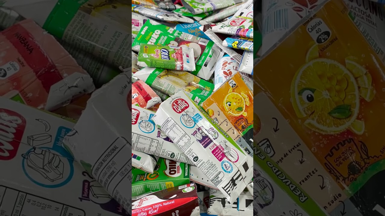 Proyecto Educativo: Reciclaje en el Colegio Federico Ozanam de Puerto Montt, Chile