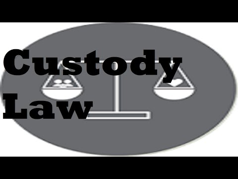 Child custody in Michigan. Everything you need to know.