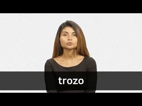 English Translation of “TROZO” | Collins Spanish-English Dictionary