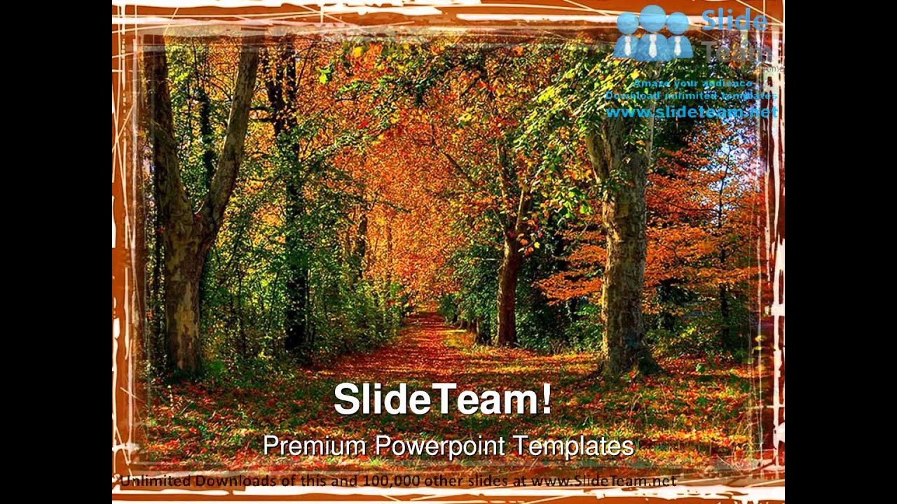 Forest Path Nature PowerPoint Templates Themes And Backgrounds ppt themes