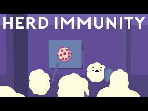 Herd Immunity and COVID 19 | When will we be Protected?