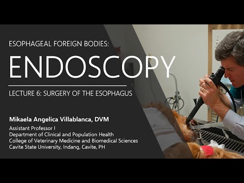Lecture 6.3 Endoscopy