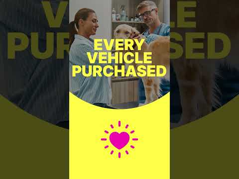 Buy a car, give $25 during Shop for a Cause