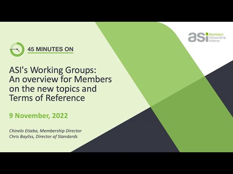 ASI's Working Groups: An overview for Members on the new topics and Terms of Reference
