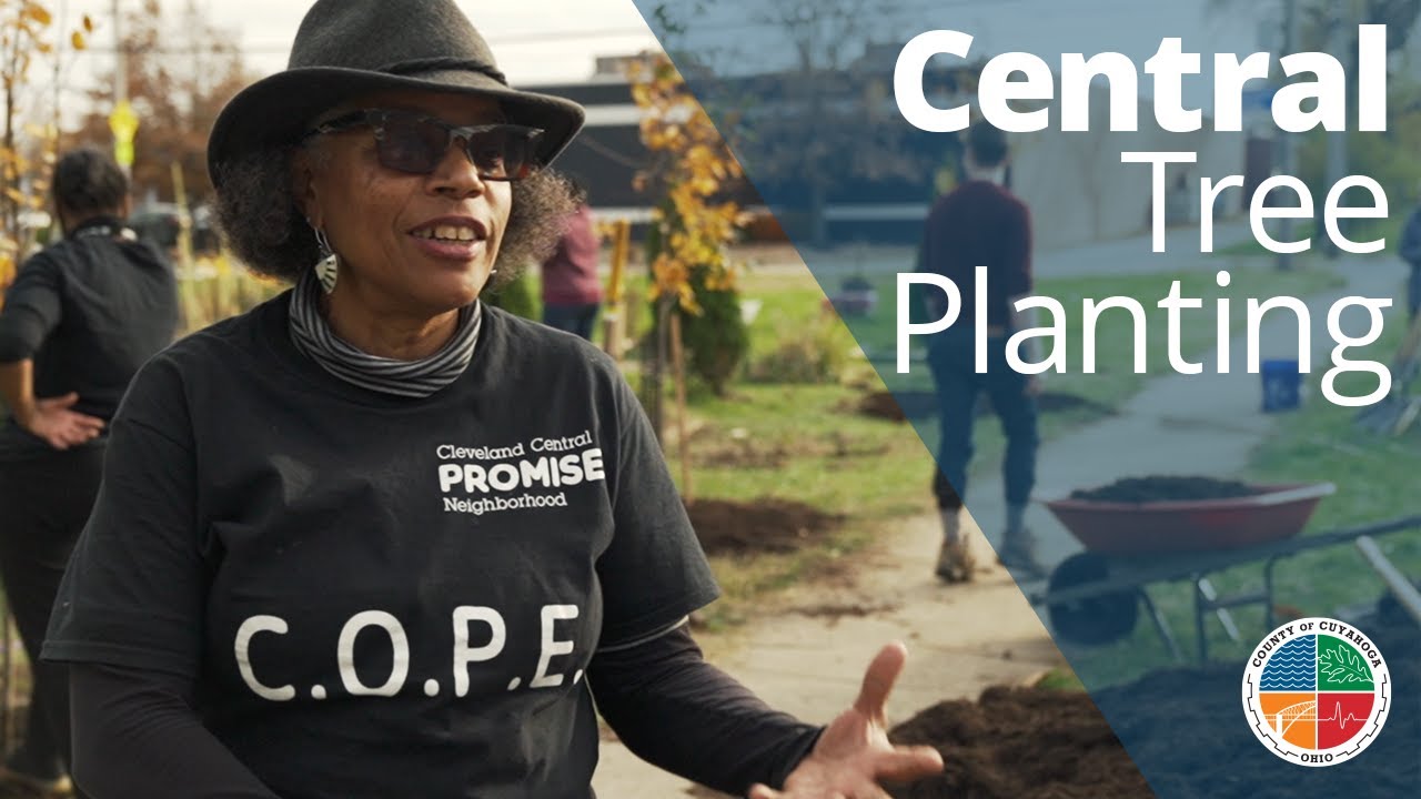 Central Surge Tree Planting