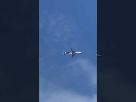|•Airbus A321-211 C-GEZO Air Transat(Kids Club Livery)YUL????????-POP????????•|28/08/2024#planespotting