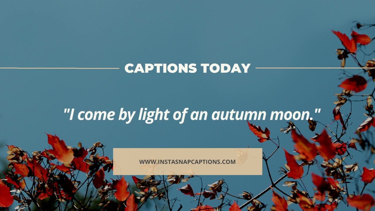 Funny Fall Captions For Instagram |  #Funny #Fall #Captions#Instagram #InstagramCaptions
