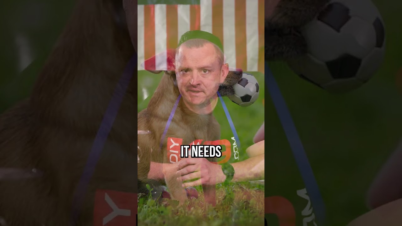 3 Pound Demon from the Underworld - Random Pets & Ani...