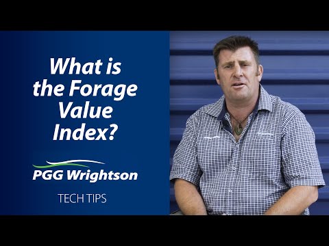 What is the Forage Value Index? | PGG Wrightson Tech Tips