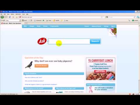 What is a Search Engine?