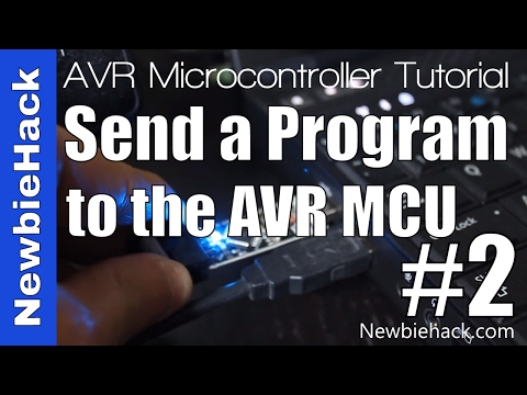 Flash Microcontroller at Best Price in India