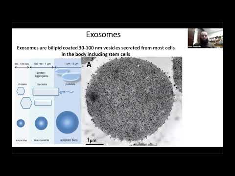 MIGHTY MOLECULES IN REPRODUCTION
