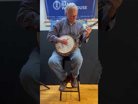 2002 Stelling Sunflower with original hardshell case | Reverb