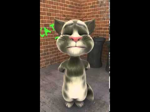 Screaming fat cat