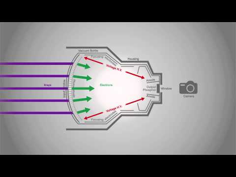 Image Intensifier - Radiology Image Intensifier Latest Price ...
